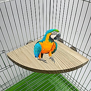 Wood Parrot Bird Perch Stand Platform for Pet Playing