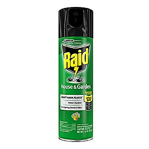 Raid House and Garden Aerosol 11 Ounce (Pack of 6)