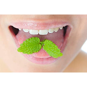 Bielita & Vitex Dentavit Oral Spray Fresh Breath, 15 ml with Clove Bud Extract, Menthol, Witch Hazel Extract, Myrrh Extract, Cinnamon Extract, Peppermint Oil