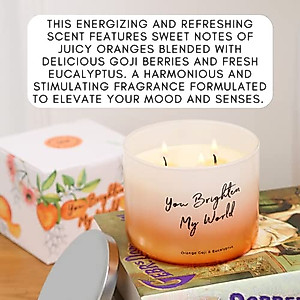 Orange Goji Eucalyptus Scented Candle 3 Wick | Aromatherapy Stress Relief Eucalyptus Energy Candle | Highly Scented Soy Candles Clean Burn 15.8 oz | You Brighten My World Candle Gifts for Men & Women