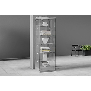 Displays2go Glass Display Case with LED Lighting, Locking Swing Open Door, Tempered Glass Shelves with MDF Top & Base – Clear & Silver (GTAP24LEDS)