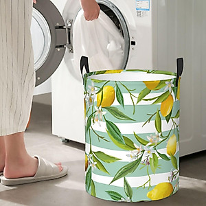 oacyit Laundry Basket Lemon Fruits Laundry Hamper Waterproof Idea Hampers for Laundry,Large Collapsible Laundry Baskets with Handle Suitable for Bedroom Bathroom Utility Room Kitchen