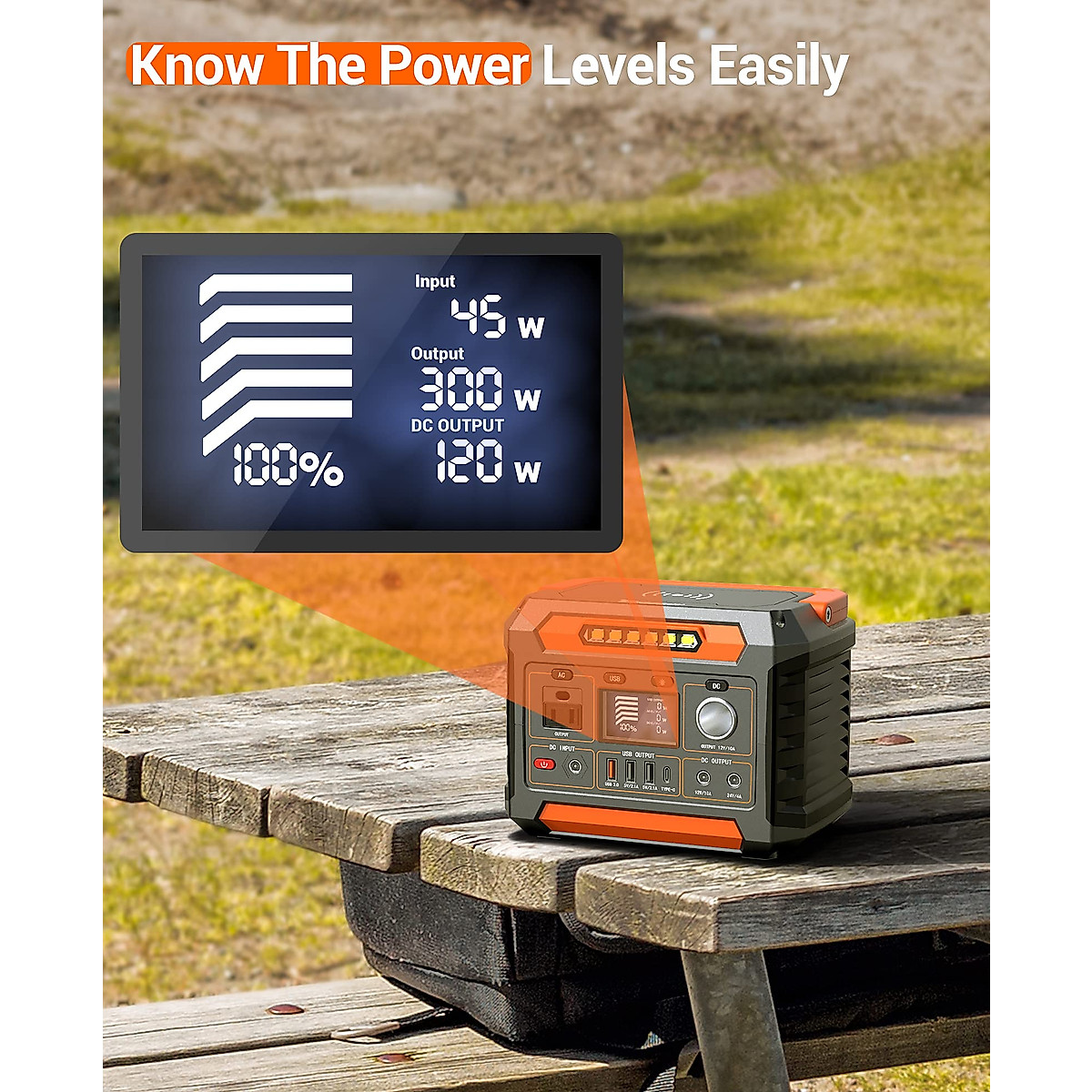 PROGENY 300W Portable Power Station, 299Wh/80818mAh Solar Generator, Regulated DC Output Backup Battery with Pass-Through Charging AC Outlet, Pure Sine Wave, LED Light Power Station for CPAP Camping