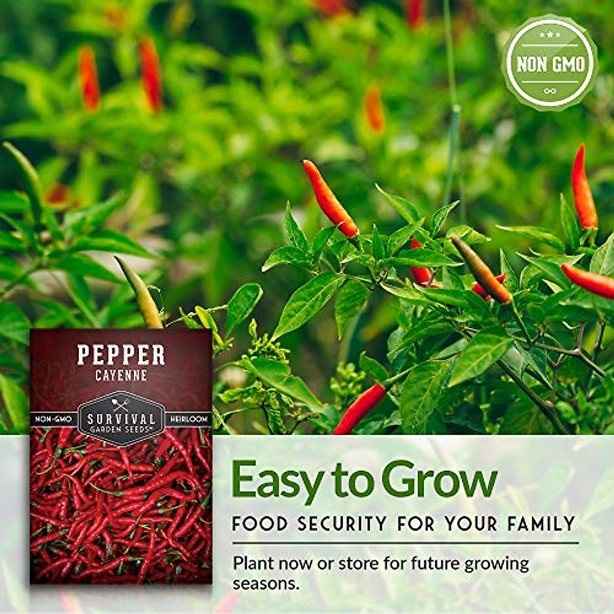 Survival Garden Seeds - Red Cayenne Pepper Seed for Planting - Packet with Instructions to Plant and Grow Hot Chili Peppers in Your Home Vegetable Garden - Non-GMO Heirloom Variety - Single Pack