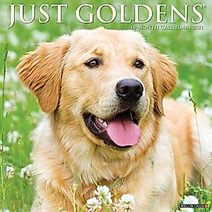 Just Goldens 2021 Wall Calendar (Dog Breed Calendar)