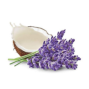 Dove Whipped Lavender and Coconut Milk Body Cream 10 oz