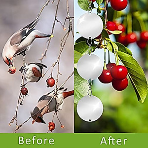 Mageloly 24 Pack Bird Deterrent, Pigeon Woodpecker Deterrent for House Bird Repellent Devices Outdoor, Bird Scare Disc Keep Birds Away