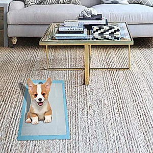 PINVNBY Disposable Rabbit Pee Pads,Puppy Toilet/Potty Training Pads, Super Absorbent Cats Cage Liners for Rabbits Chinchillas Guinea Pigs Hamsters Cat Small Animals(50 PCS Blue)