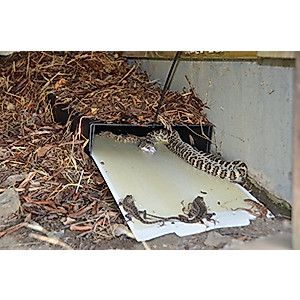 Cahaba Snake Trap (1 PK) Commercial Grade Large/Reusable 32"x10"x3" with (3) Large Catch Inserts Made in USA