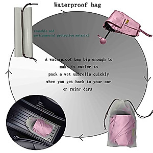 Mini Travel Umbrella - Wind Resistant, Small- Compact, Light, Strong Steel Shaft, Windproof, Mini, Folding and Portable - Backpack, Car, Purse Umbrellas for Sun and Rain - 99% UV Protection for Men and Women, Compact Umbrella (light pink with gift box)