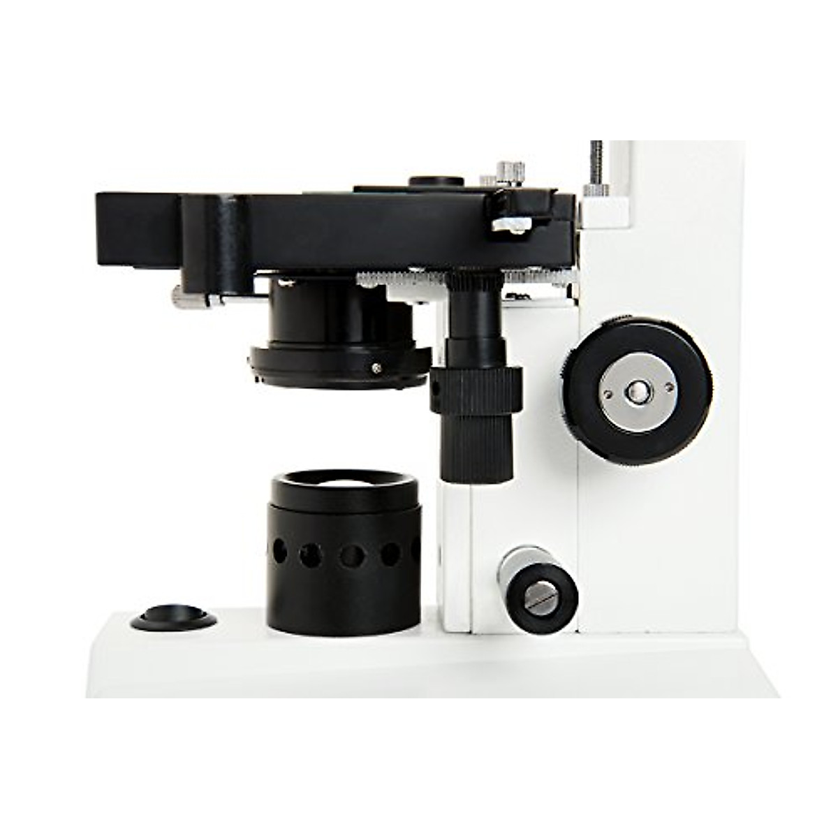 Celestron – Celestron Labs – Binocular Head Compound Microscope – 40-2000x Magnification – Adjustable Mechanical Stage – Includes 2 Eyepieces and 10 Prepared Slides