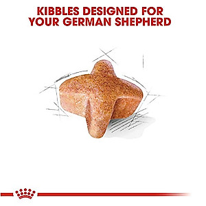 Royal Canin German Shepherd Adult Dry Dog Food, 30 lb bag