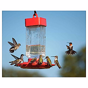 Kaytee Hummingbird ElectroNectar Wild Bird Food, Ready to Use, 64 Ounces