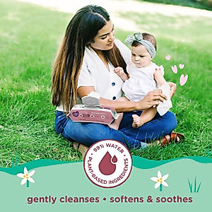 Parent's Choice Light & Fresh Baby Wipes, 3 Flip-Top Packs of 80 (240 Total Wipes)