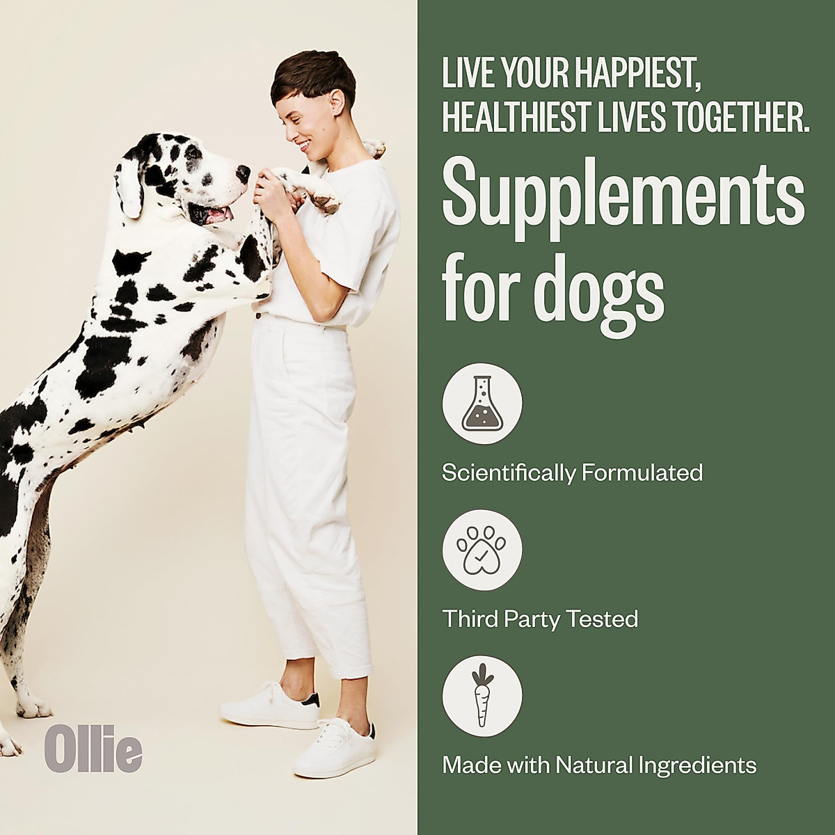 Ollie Belly Rubs Dog Probiotic Chews - Probiotics for Dogs and Ollie Dental Chews for Dogs Medium -Dog Breath Treats