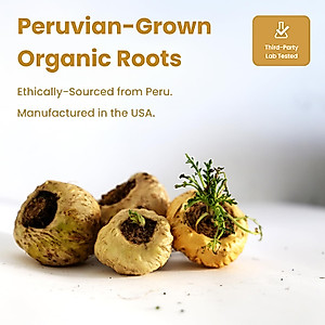 Organic Maca Root Capsules for Women & Men | 2100mg, 180 Vegan Capsules | Black, Red & Yellow Peruvian Gelatinized | Highest Potency Maca Root Powder Supplement | Supports Mood, Reproduction & Energy
