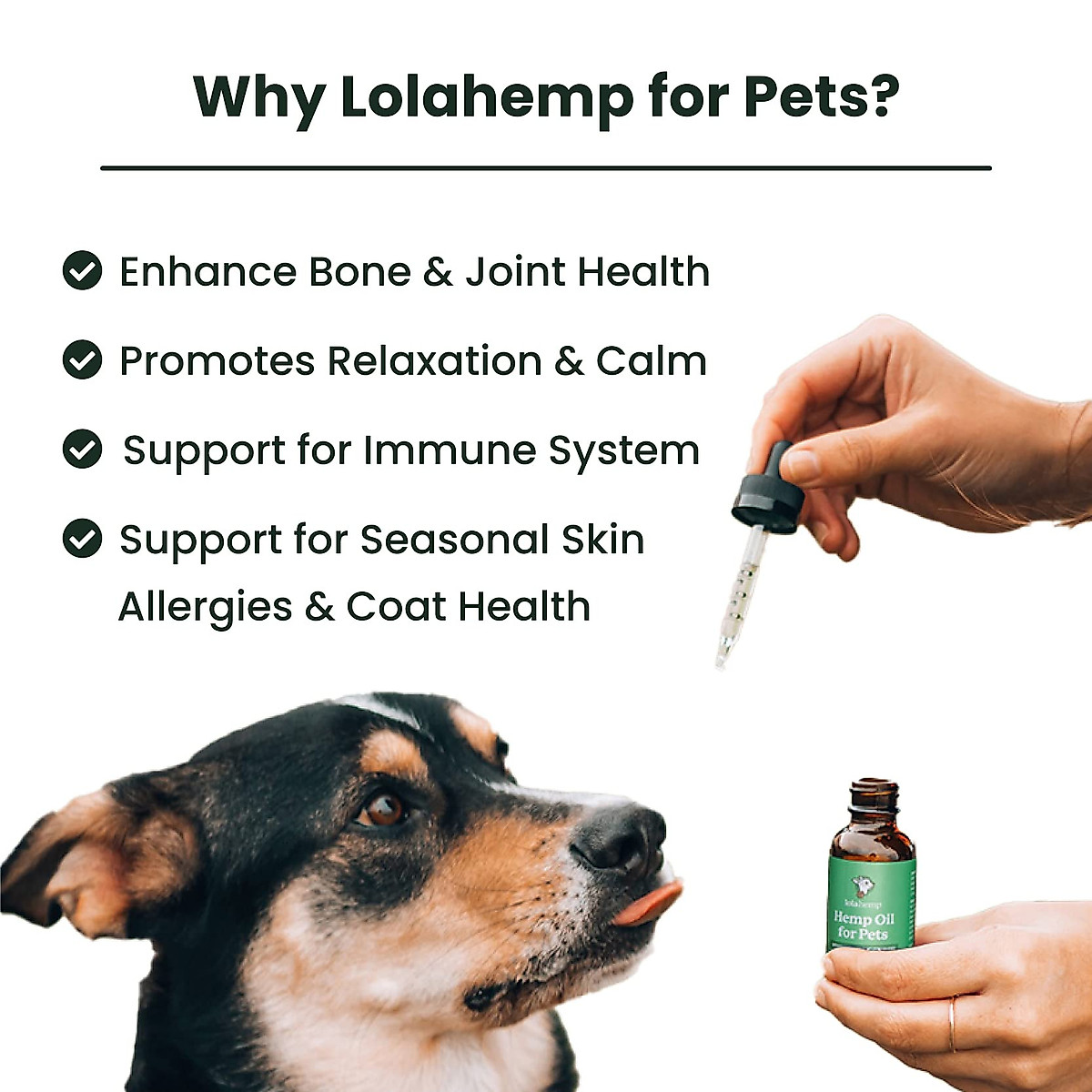 Lolahemp Hemp Oil for Dogs & Cats - Made in USA at Family Farm - Natural Hemp Oil for Joint Support, Promoting Mobility, Relieving Discomfort and Calming Supplement for Promoting Relaxation