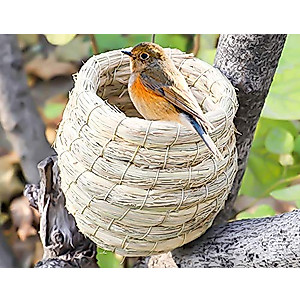 2Pcs Birdcage Straw, Lucky Interests Natural Fiber Simulation Birdhouse, Resting Breeding Place for Birds, Handmade Birds Nest Straw Bird, Hideaway from Predators, Provides Shelter from Cold Weather