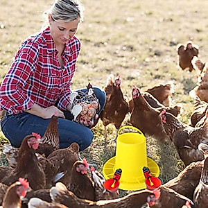 10pcs Chicken Waterer - Poultry Waterer Chicken Water Cups Automatic Nipple Cup Kit for Chicken Quail Drinker