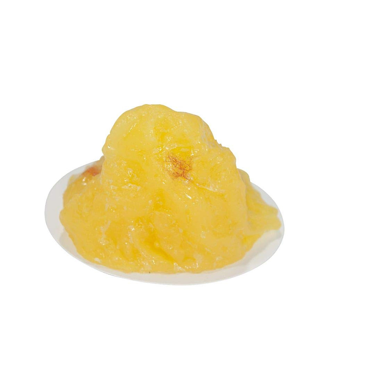 Nasco WA07173 Human Body Fat Replica with Display Base, 1 lb.