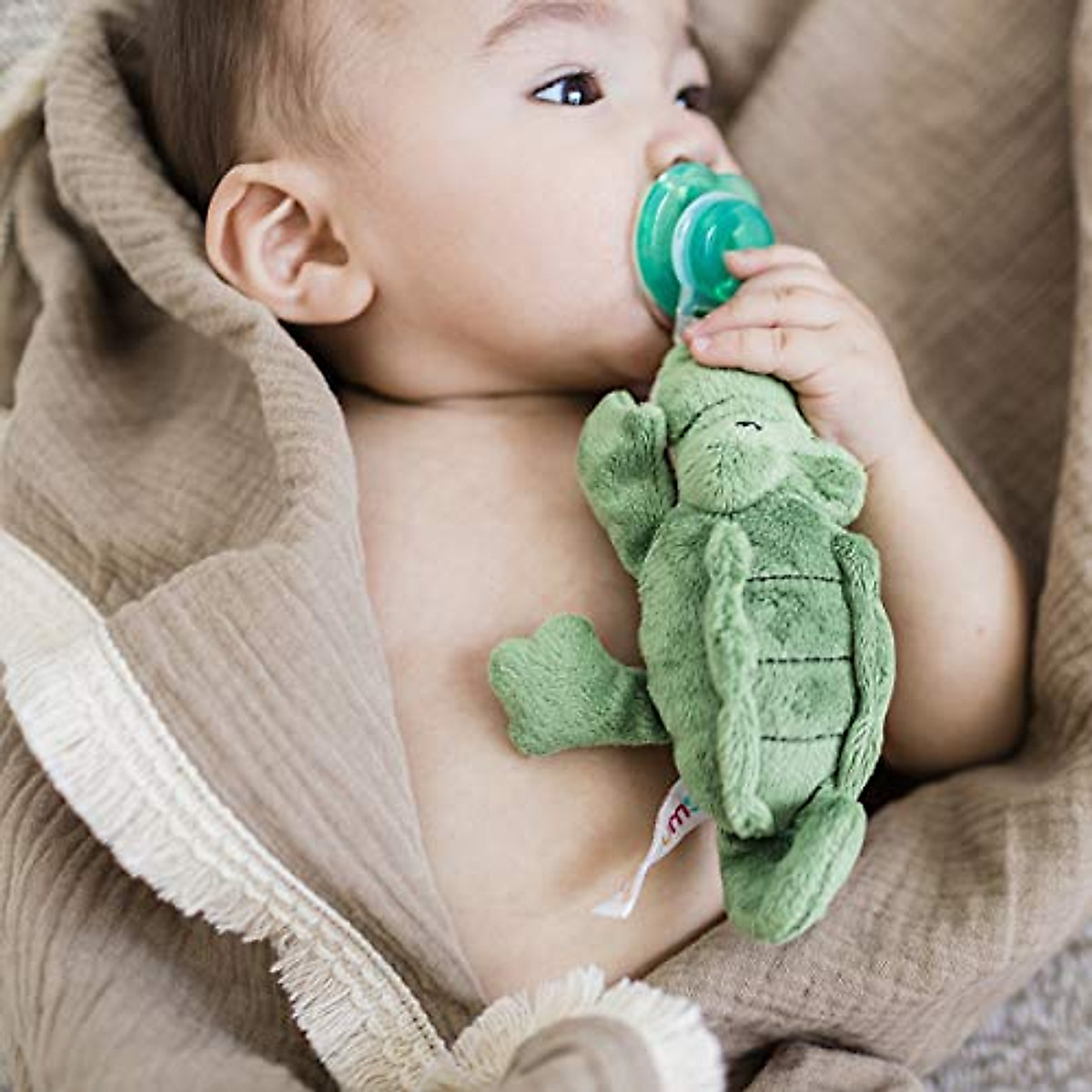 Nookums Paci-Plushies Buddies - Alligator Pacifier Holder - Adapts to Name Brand Pacifiers, Suitable for All Ages, Plush Toy Includes Detachable Pacifier
