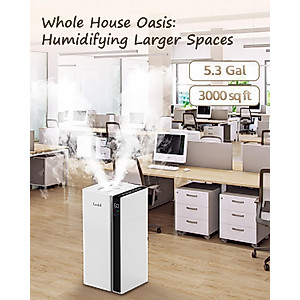 Lacidoll Warm and Cool Mist Humidifier Large Room, 5.3Gal/20L Room Humidifiers for Home, Quickly & Evenly Humidify Whole House, Top Fill, Dual Mist Nozzles and Atomizers, Baby Office Plants, White