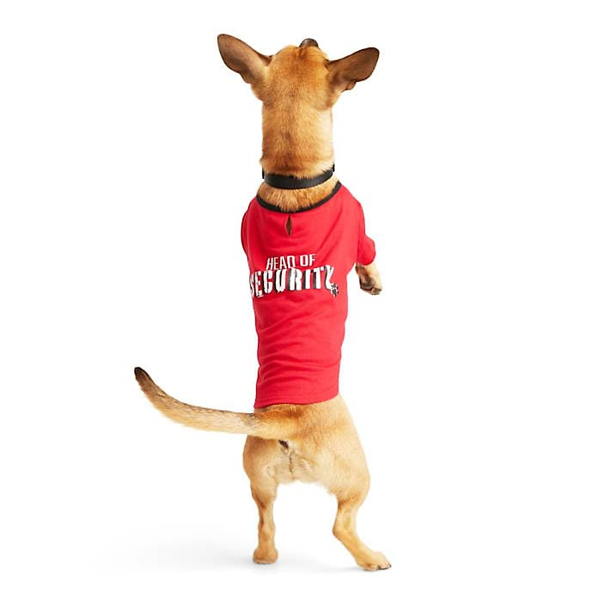 YOULY Head of Security Dog Tee, Large