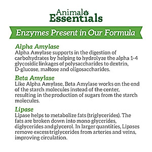Animal Essentials Plant Enzyme & Probiotics Digestive Supplement for Dogs & Cats, 10.6 oz - Digestion Support