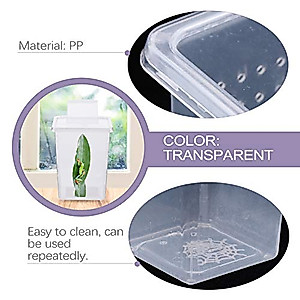 Balacoo 2pcs Plastic Reptile Box Snake Turtle Breeding Box Case Feeding Hatching Container Pet Spider Scorpion Lizard Tank House for Home