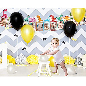 Dinosaur Photo Banner Decorations - Dinosaur Themed Baby Birthday Party Supplies Ornaments for Baby Shower Birthday Decoration 2pcs