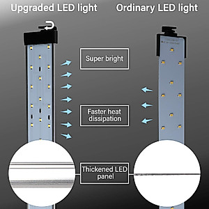 【Upgraded LED】 RAUBAY Photo Studio Light Box,20"x20" Portable Lightbox Shooting Tent for Product Photography, with Dimmable LED Lights and 6 PVC Backdrops
