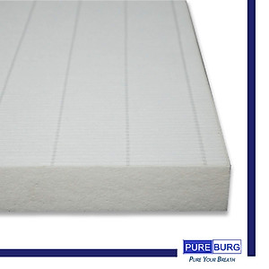 PUREBURG FP-A60U Replacement True HEPA Filter Compatible with Sharp FZ-A60HFU fits Sharp Plasmacluster FP-A60UW FP-A60U Air Purifier,H13 Air Clean Dust,1-Pack