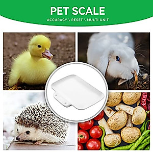 Kytree Pet Digital Scale, Puppy Scale Kitchen Weight Scale, Measures Small Animals with 33 lb/15 kg, Multi-Function Portable Electronic Scale Digital Weight for Pets