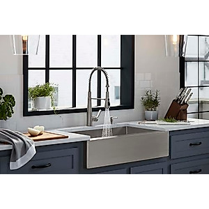 KOHLER K-REC22745-SD-2MB Semi-Professional Kitchen Faucet with Soap Dispenser, Vibrant Brushed Moderne Brass