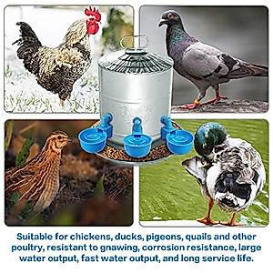 MYGIIKAKA Chicken Waterer Larger Automatic Chicken Waterer Cups DIY Poultry Chicken Waterer Kit 5 Gallon for Chicken, Duck, Goose, Rabbit (6 Pack)