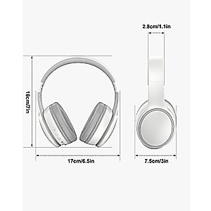 rockpapa E9 Over Ear Bluetooth Headphones for Kids Children Boy Girl Adult, Stereo Foldable Wired/Wireless Headphones with Microphone for School Travel Tablet PC TV, Include Case, White Grey