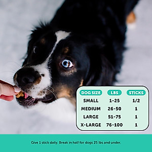 Pet Honesty Dental Health Fresh Sticks - Oral Hygiene Dental Sticks for Dogs - Dental Dog Chews - Freshen Dog Breath, Reduce Plaque + Tartar - 16 Sticks