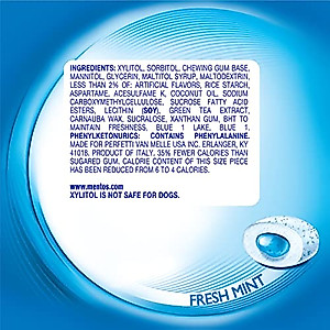 Mentos Pure Fresh Sugar-Free Chewing Gum with Xylitol, Fresh Mint, in a recyclable 90% Paperboard Bottle, 80 Piece (Pack of 1)