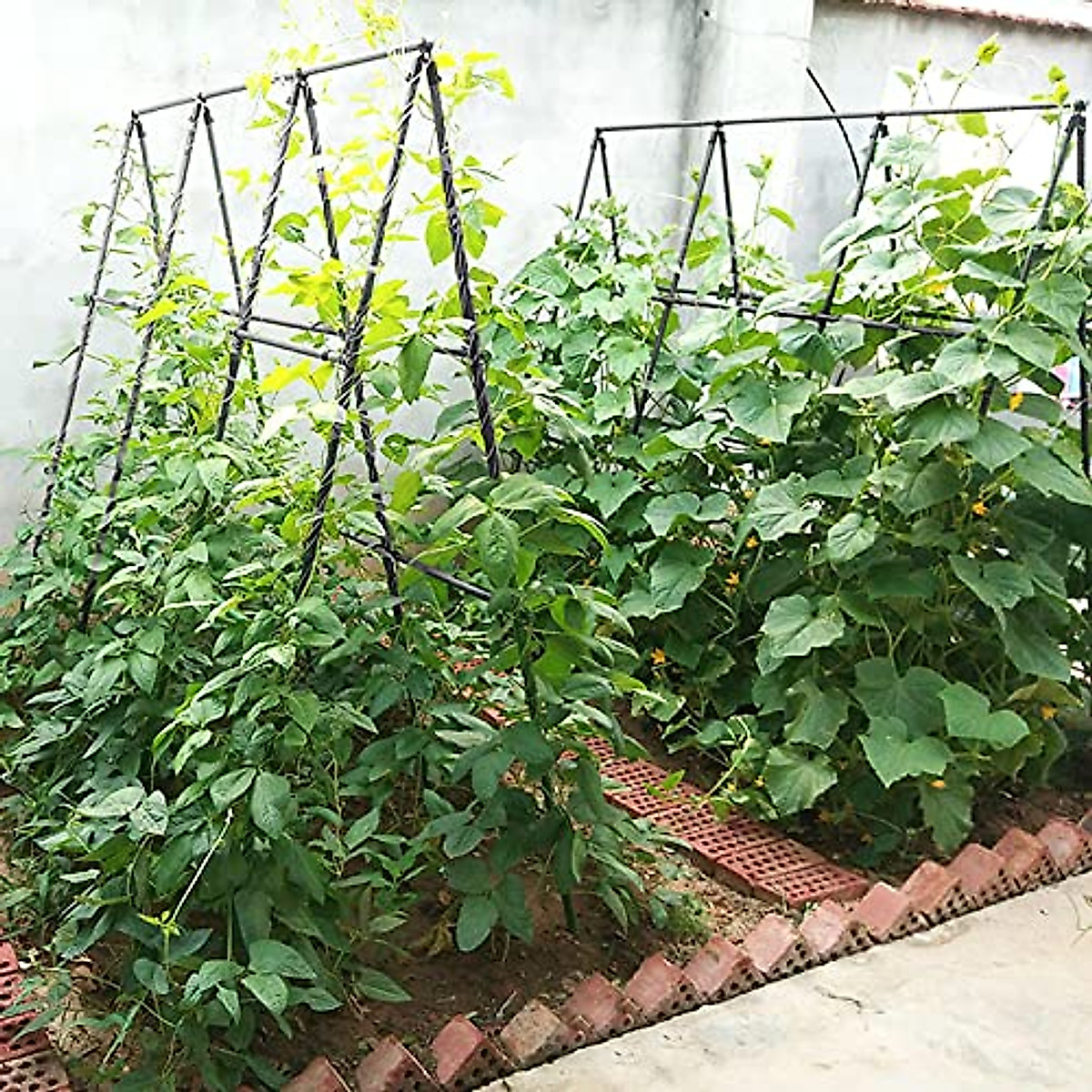 DoCred Cucumber Trellis, A Frame Trellis Metal Garden Trellis for Climbing Plant Cucumber, Flowers, Melon, Vegetables
