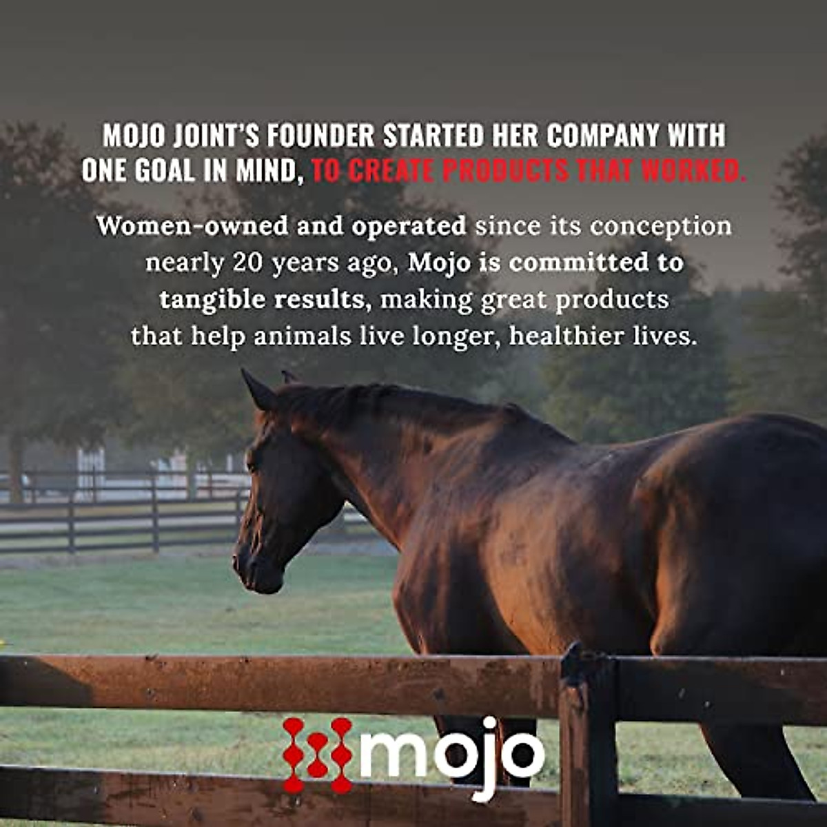 Mojo Joint Horse Supplements, Equine Food Grade Pelleted Supplement, All Natural Joint Care Supplement for Horses, 10 lbs