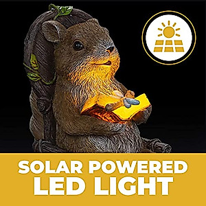 VP Home Squirrel Reading and Relaxing on Rocking Chair Solar Powered LED Outdoor Decor Garden Light Garden Figurines Outdoor Squirrel Gifts Garden Decorations Outdoor with Squirrel Statue