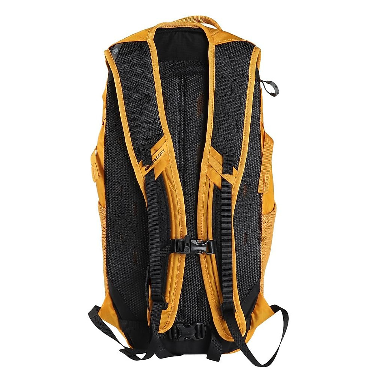 Gregory Mountain Products Nano 18 Blaze Green