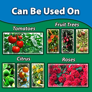 Monterey Take Down-O Garden Spray, 1 Gallon, Organic Control of Aphids, Caterpillars, Mealybugs, Webworms