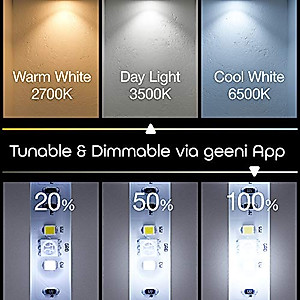 Geeni Prisma Plus Strip Smart Wi-Fi LED Strip Light Kit 9.8 ft, Indoor Outdoor Weatherproof, Brighter Colors and Tunable, Compatible with Alexa and Google Home Assistant