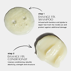 Privé Damage Fix Conditioner Repair 3oz