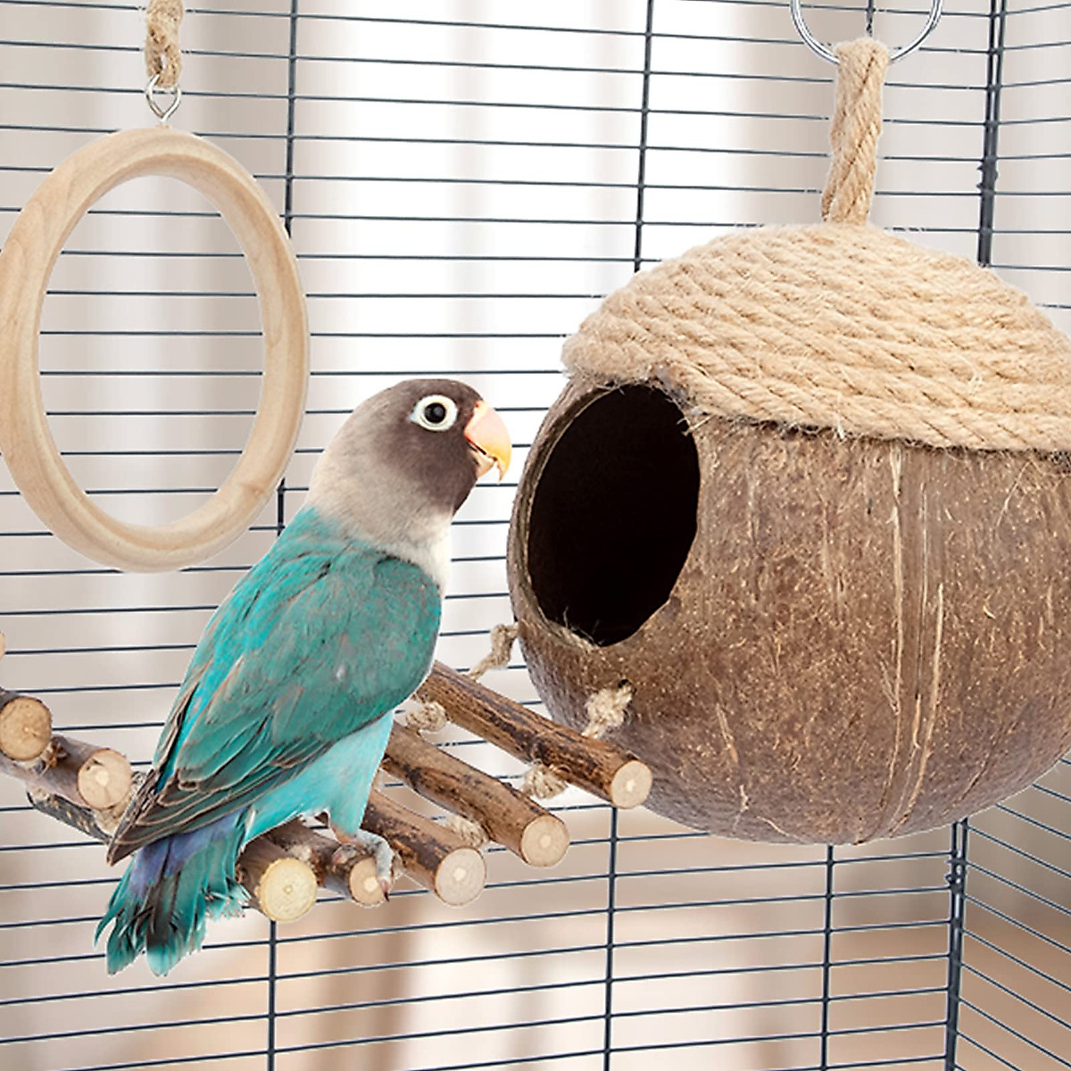 Dlhbafuya Coconut Birdhouse Coconut Shell Climbing nest Hamster hut with Ladder pet Bird Climbing Ladder nest Coconut Shell Bird nest Small Animal Habitat nest.