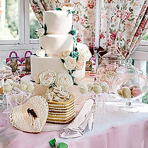 Suclain 2 Pcs Glass Slipper Decoration Gift Princess Crystal High Heels Shoes Figurine Ornaments for Girls Shoe Women Coming of Age Ceremony Wedding Christmas Birthday Party(Clear)