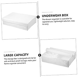 CAXUSD Underwear Storage Box Dresser Drawers Hanging Drawers for Closet Plastic Containers Storage Boxes with Lids Storage Bags for Clothes Cloth Socks Organizer Bra Organizer Panties