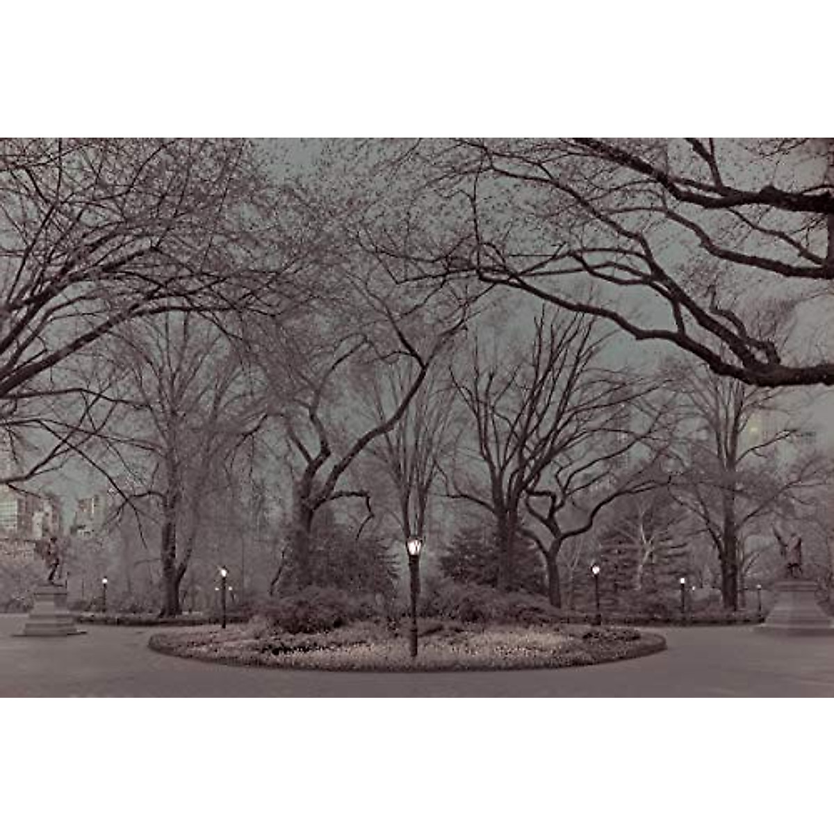 The End #1, from Deep in a Dream - Central Park