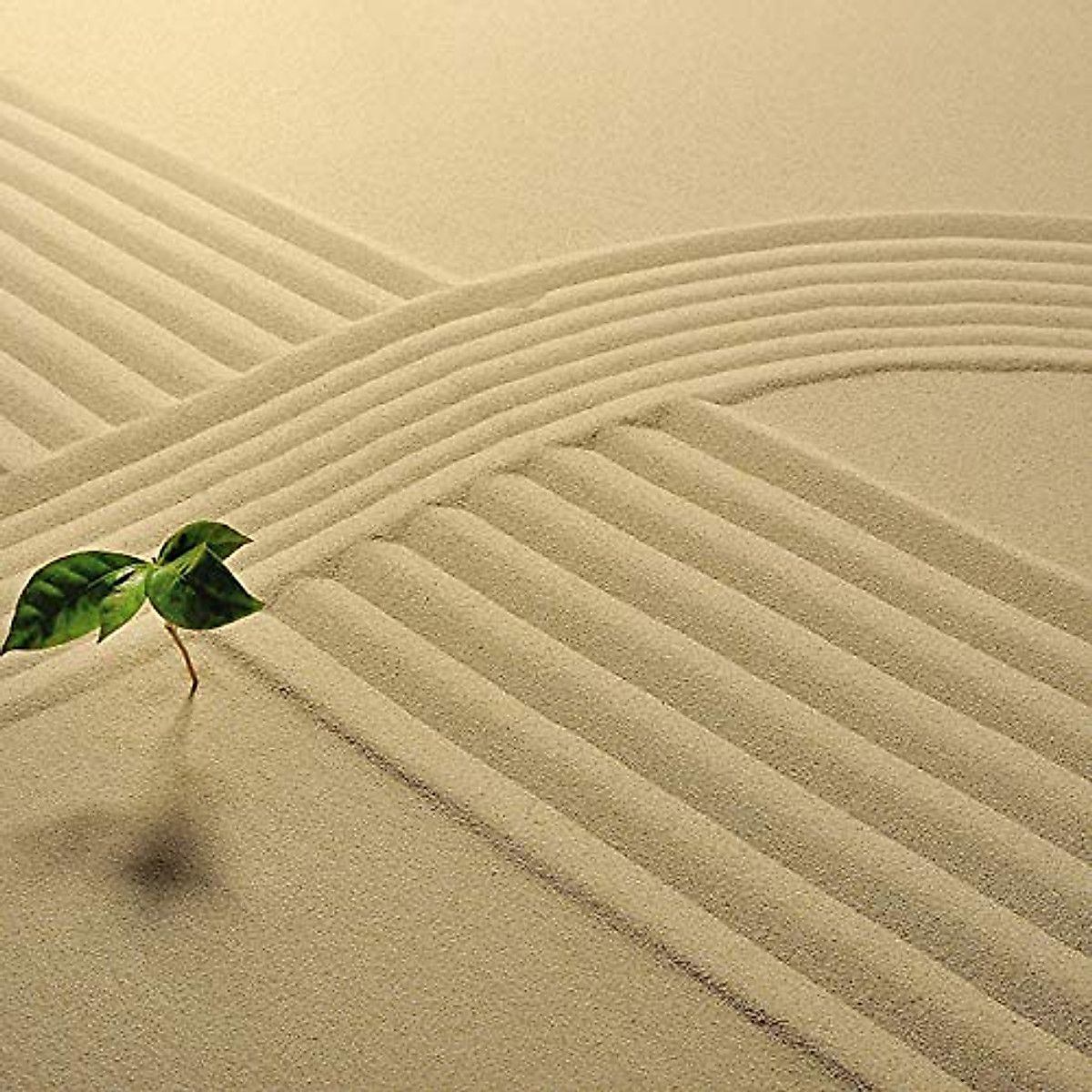 Zen Sandbox Rake 4-Pieces Kit Micro Landscape Decoration Sand Table Bamboo Rake Smoothing Hand Tools Combo Landscape Sand Rakes Feng Shui Gardening Supplies for Home Office